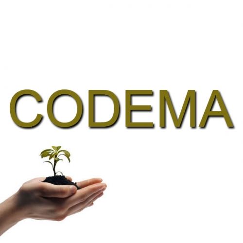 Codema realiza primeira reunião ordinária - Rádio Difusora FM 95.3