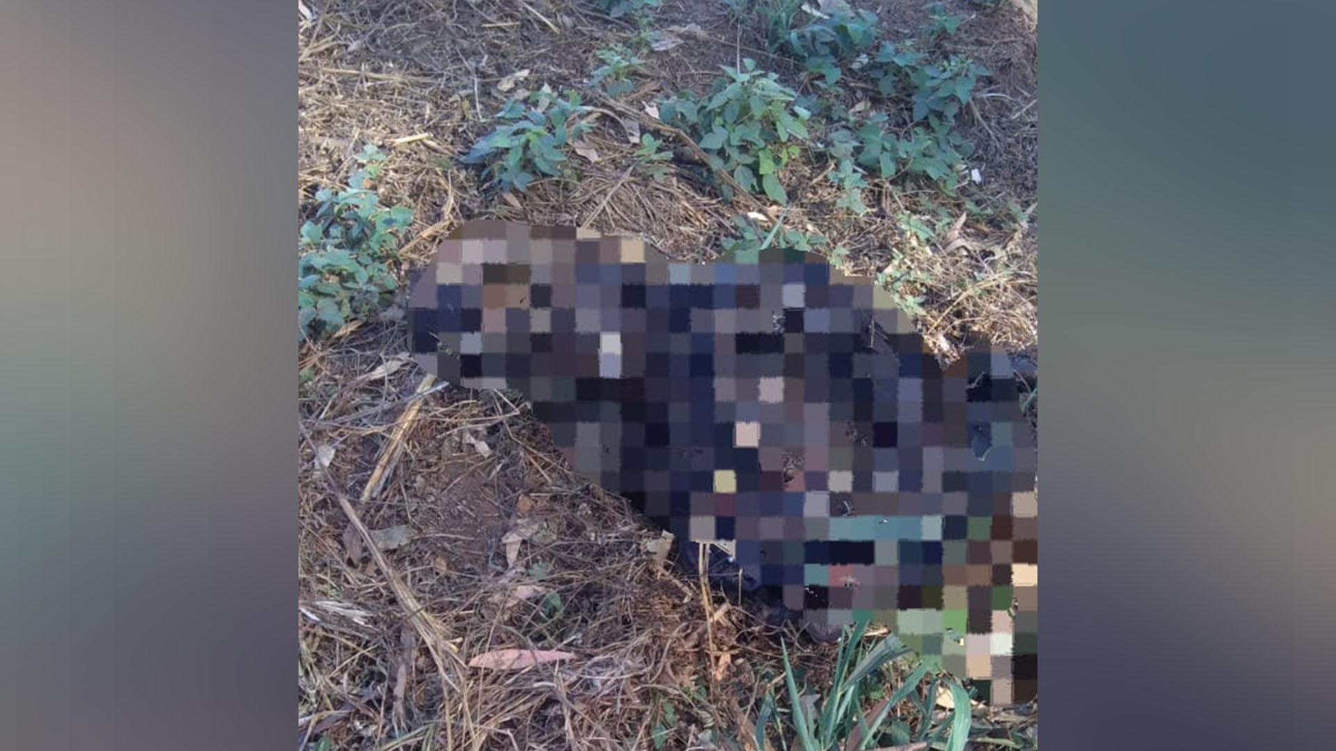 Corpo Em Estado De Decomposição E Sinais De Violência é Encontrado às
